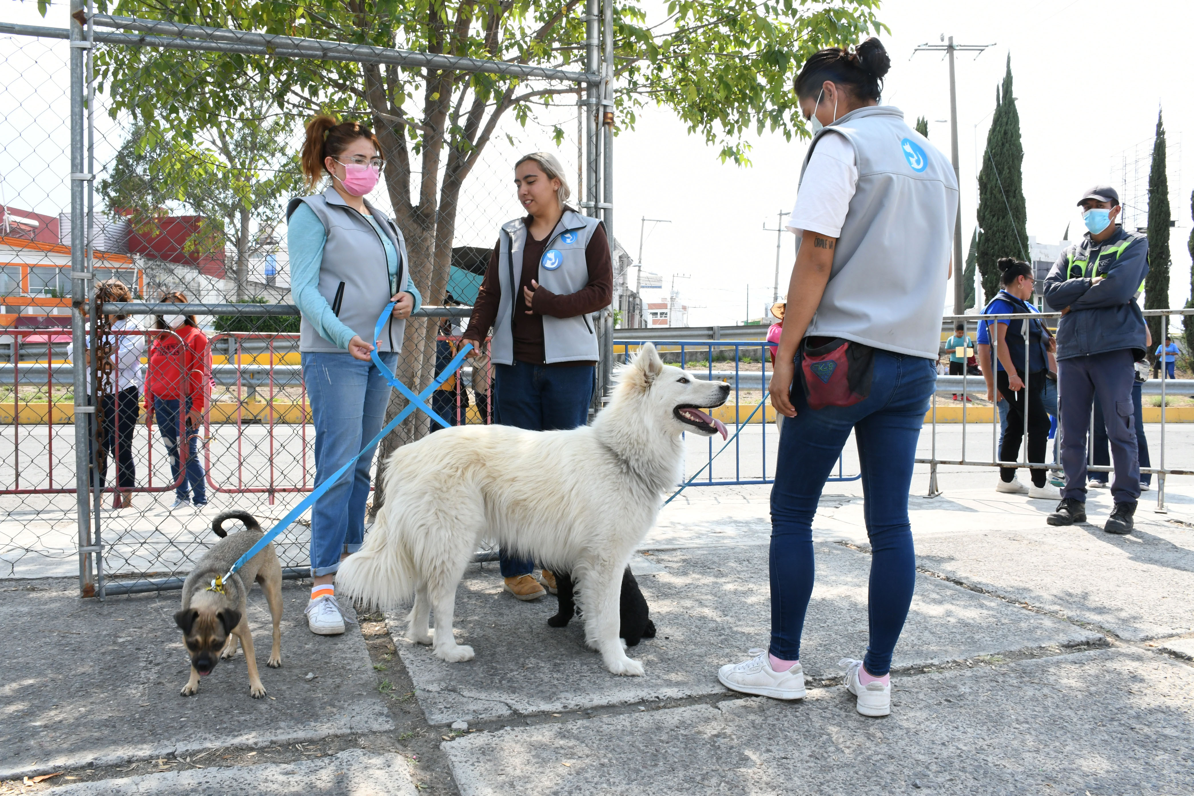 Inicia la aplicación del Examen General de Admisión a la BUAP | Boletines BUAP